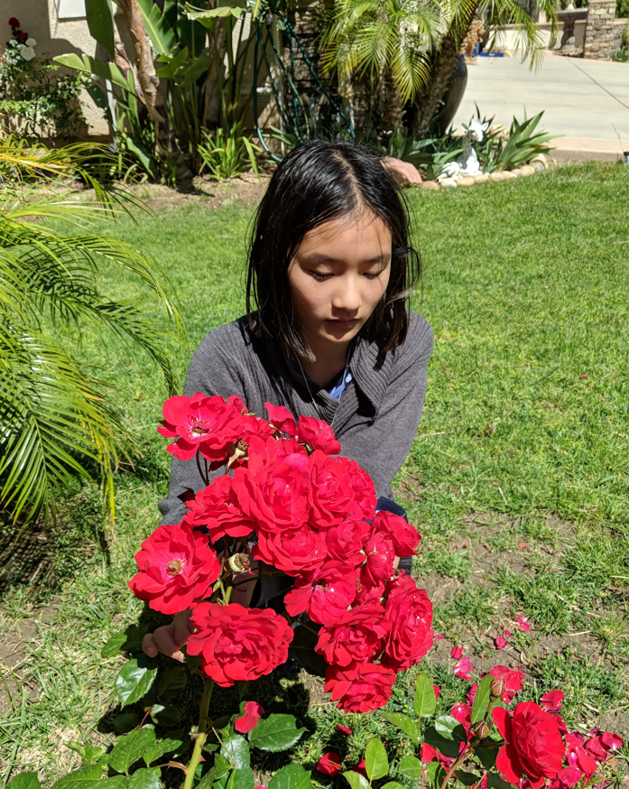 Lee Yang - Charleston International Music Competition